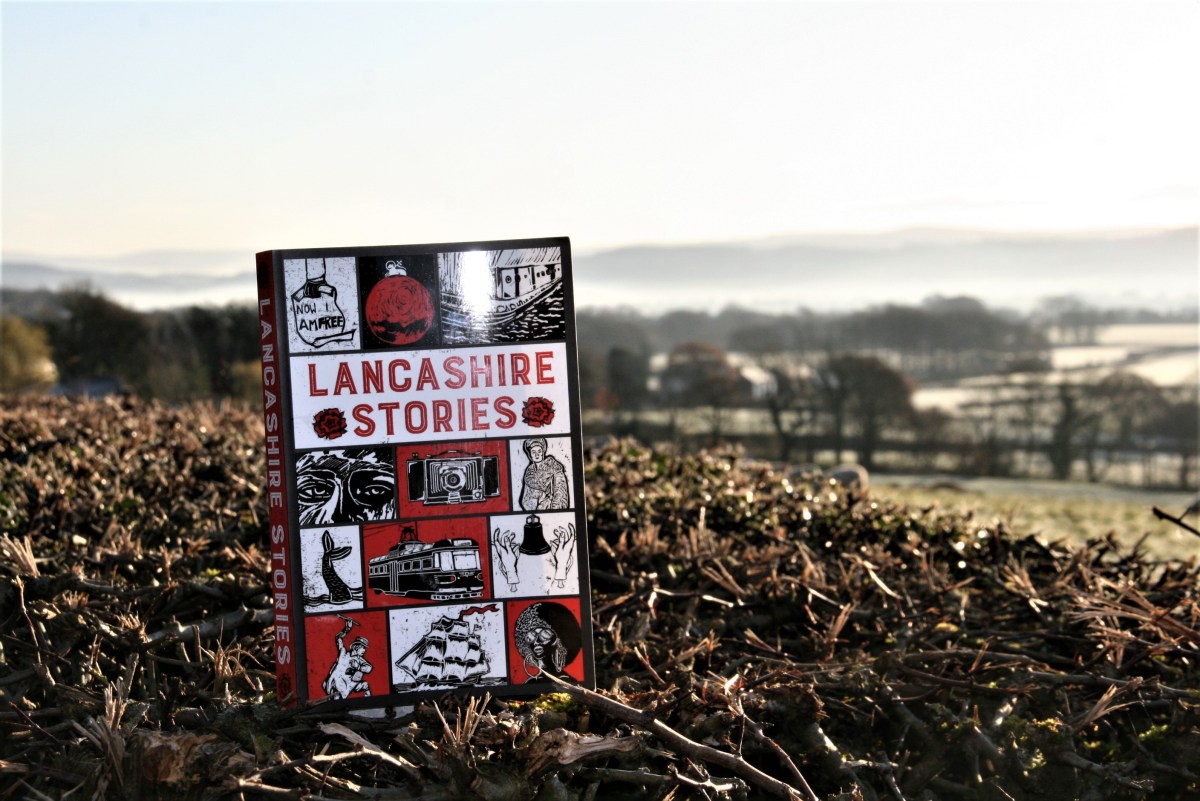 Lanky Shorts – uneasywords